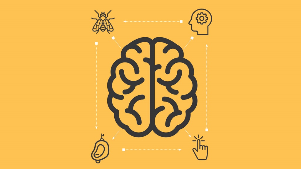 Inside the revealing world of behavioural insights (BI) | INTHEBLACK