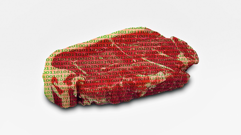 The lab-grown meat debate: from Petri dish to plate | INTHEBLACK