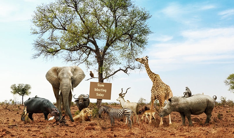 8 tips to build a great team | INTHEBLACK