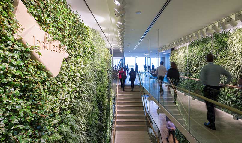 Why green offices boost productivity | INTHEBLACK
