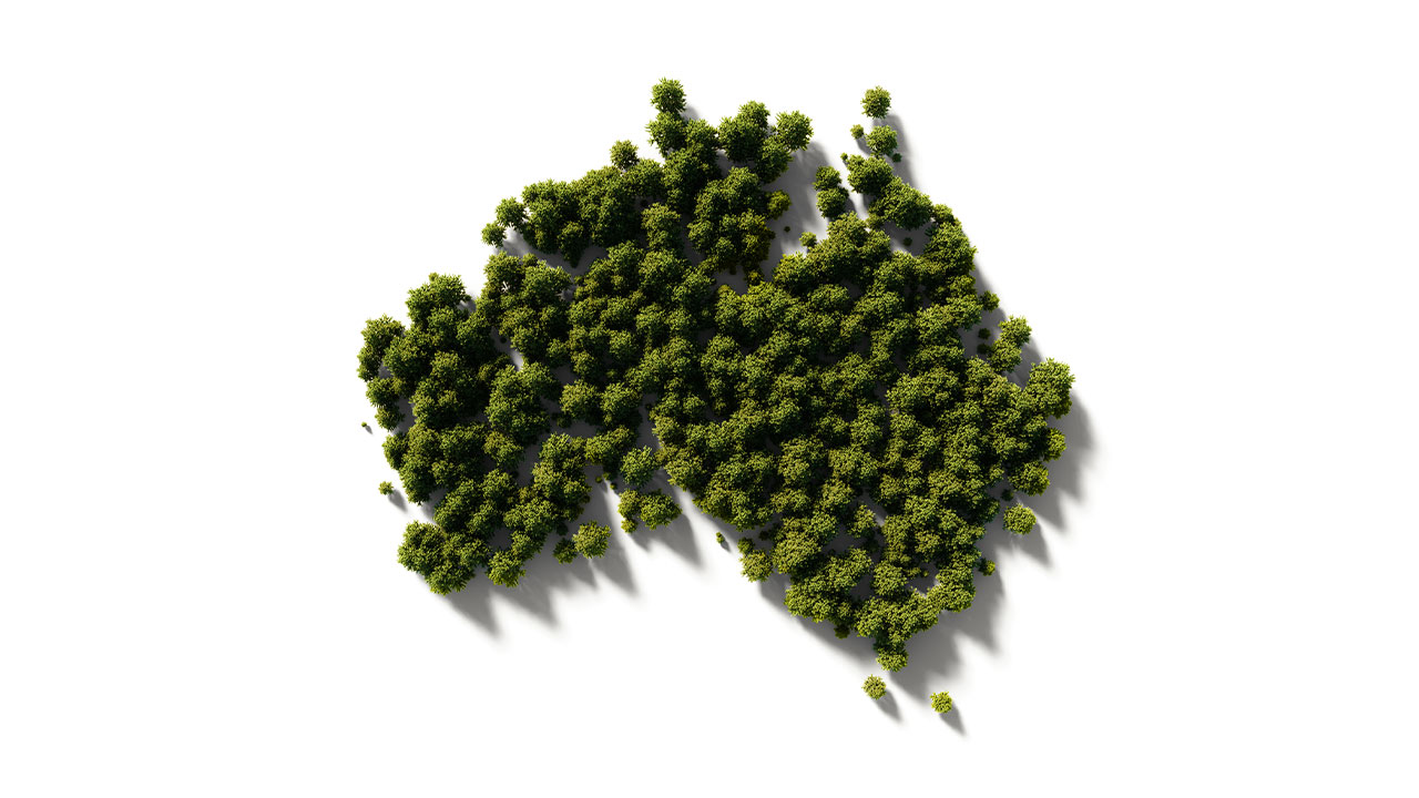 Analysing new Australian climate policies | INTHEBLACK