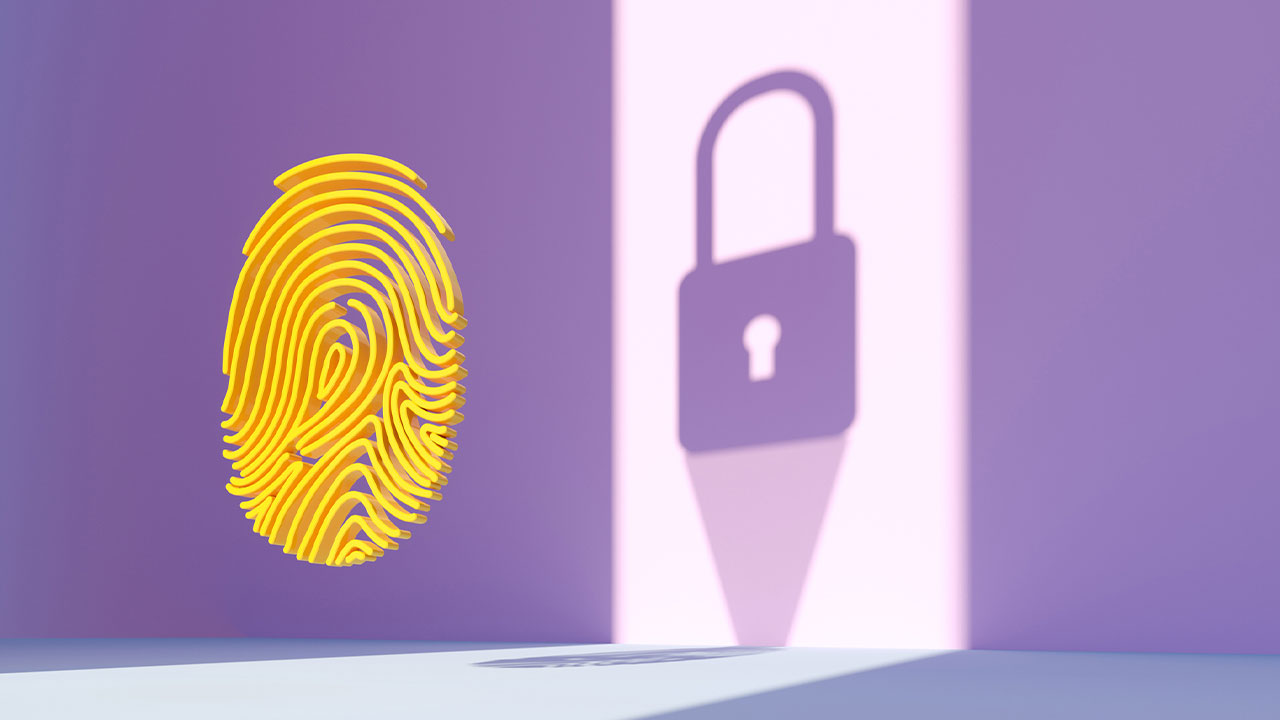 Is the future passwordless? | INTHEBLACK